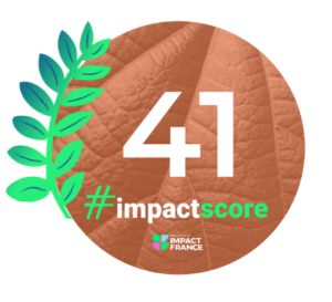 ActuWinMinute : L'Impact Score et le Tech for Good Score, pour ...